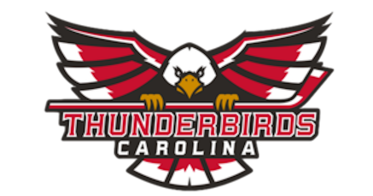 Game Day Operations Manager - Carolina Thunderbirds | TeamWork Online