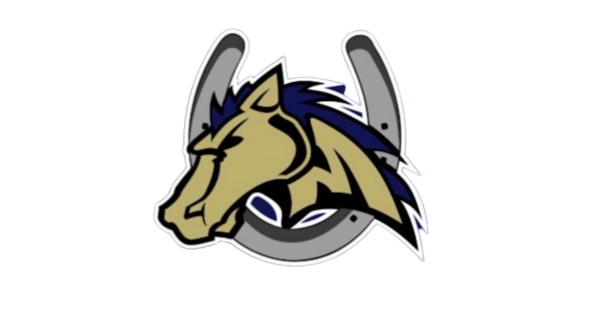 General/Stadium Operations Internship - Martinsville Mustangs ...