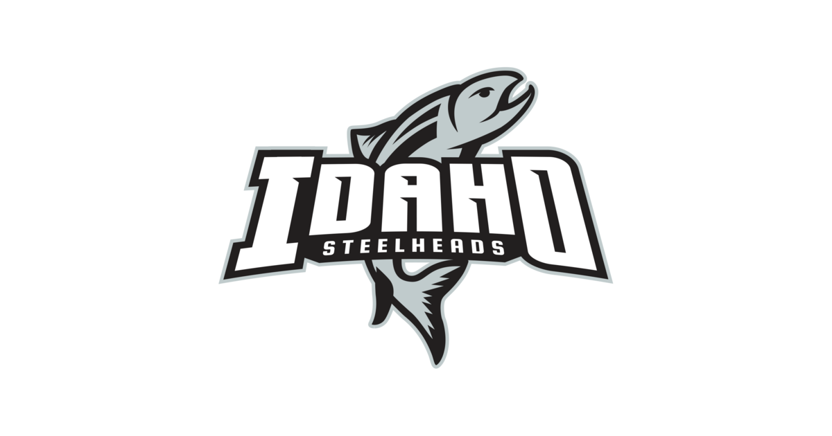 Partnership Activation & Game Day Operations Internship - Idaho ...