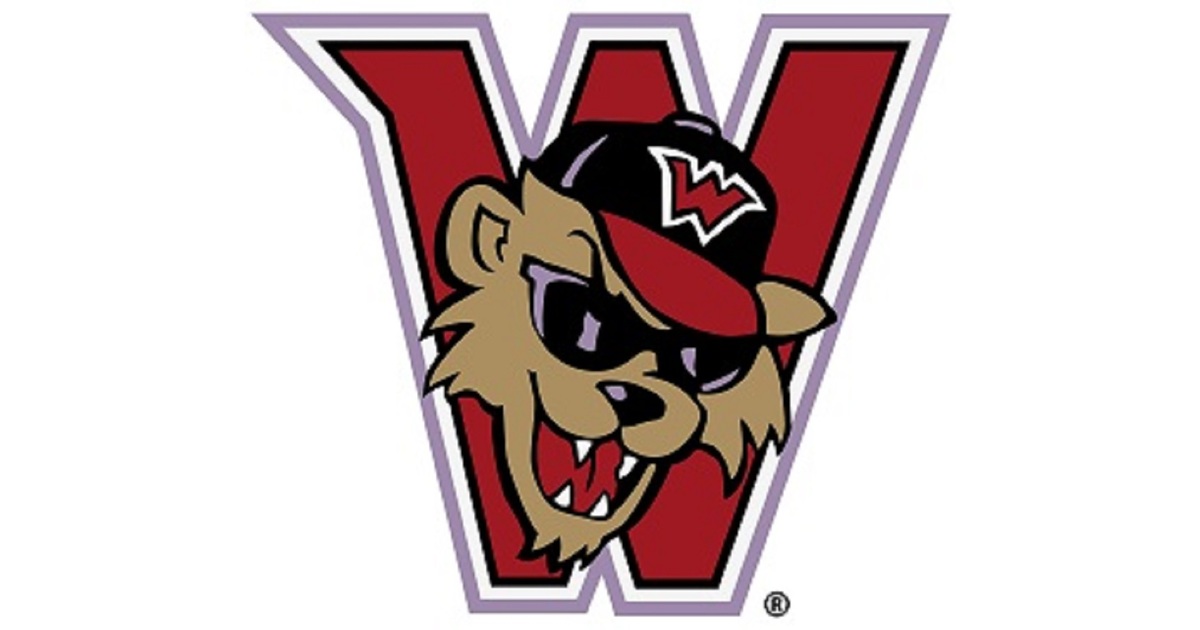 Official Scorer (Summer 2026) - Washington Wild Things | TeamWork Online